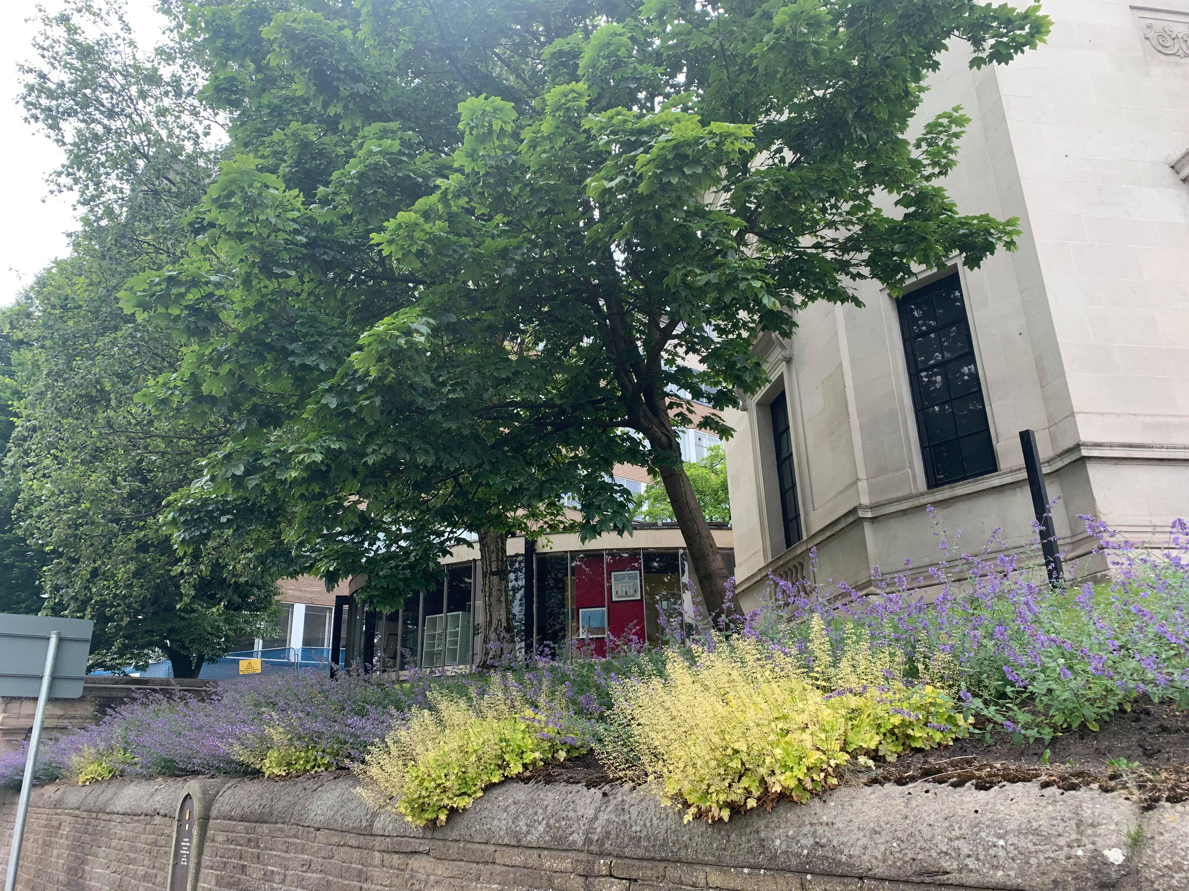 SK Ascension Exhibition – Drew Findlay